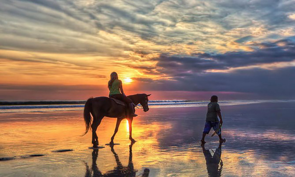 Bali Tour Service | Bali Tour Package | Bali Tour